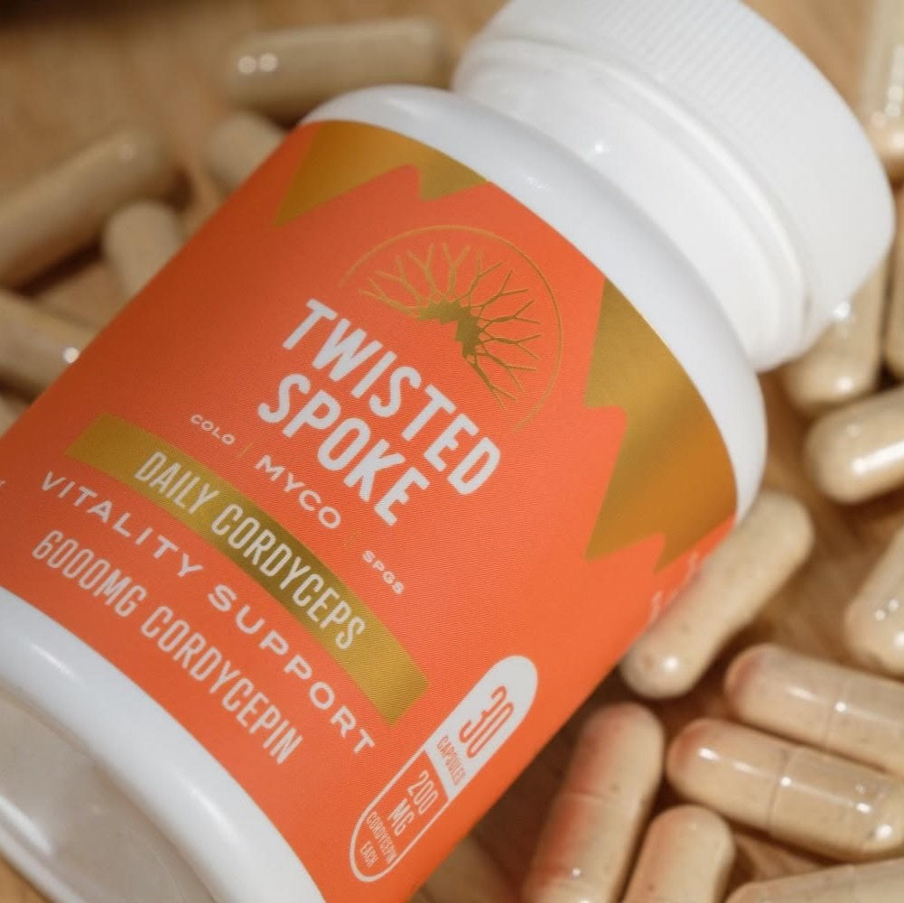 What we know about the effects of Cordyceps – Twisted Spoke CBD